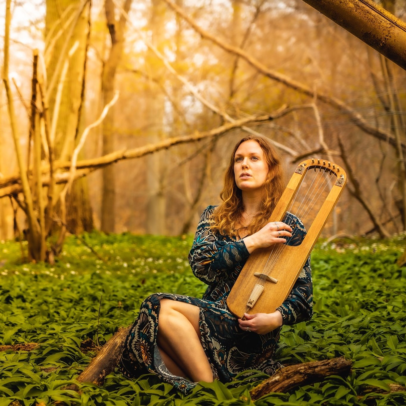 Christine Kammerer – SINGER | COMPOSER | MUSIC HISTORY REENACTER